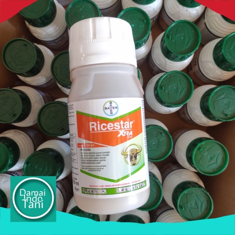 Jual herbisida ricestar xtra 89 od isi 250ml | Shopee Indonesia
