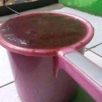 Jual cacing sutra casut gayung cacing rambut pakan ikan cacing sutra ...