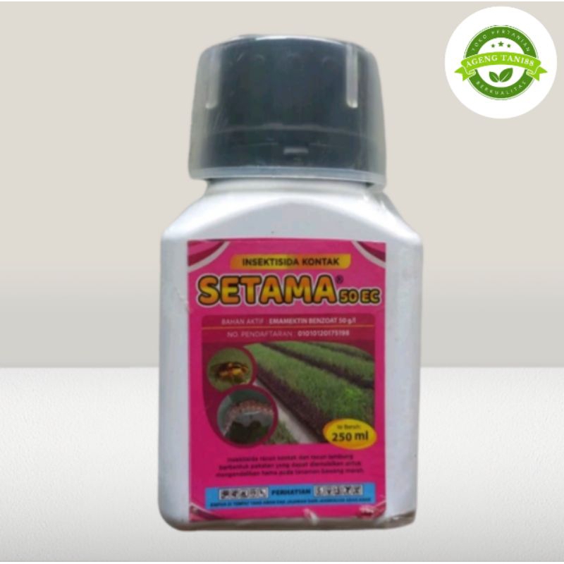 Jual SETAMA 250EC 250ML | Shopee Indonesia