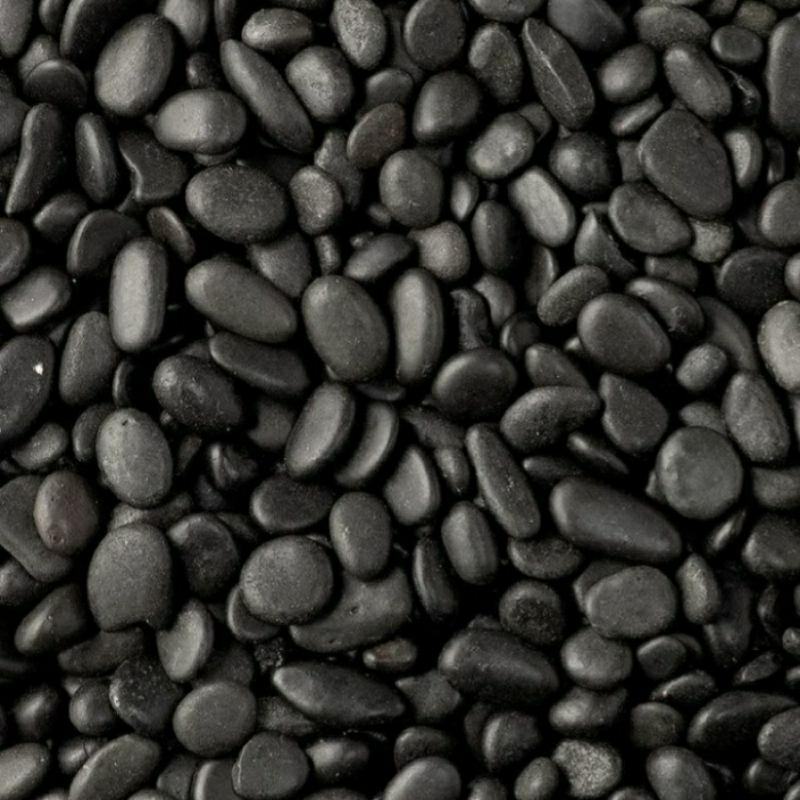 Jual Batu Hitam Batu hias 1 Kg untuk taman & dekorasi Aquarium ...