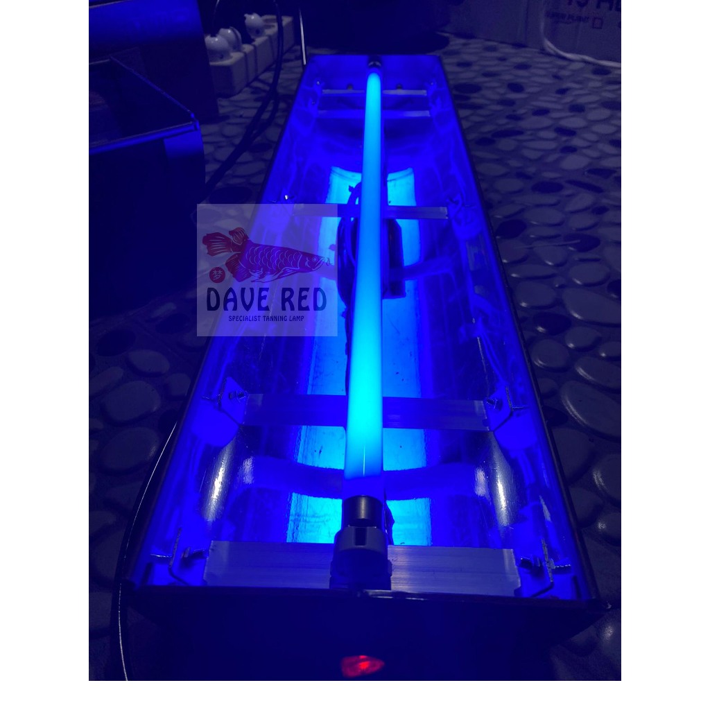 Jual Lampu Tanning Aquarium Ikan Aquazonic 1 Lampu Actinic Blue Biru ...