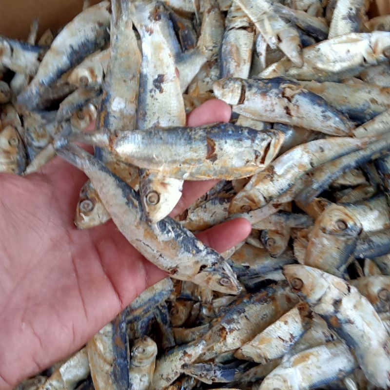 Jual Ikan Asin Tanjan Rebus 1Kg | Shopee Indonesia