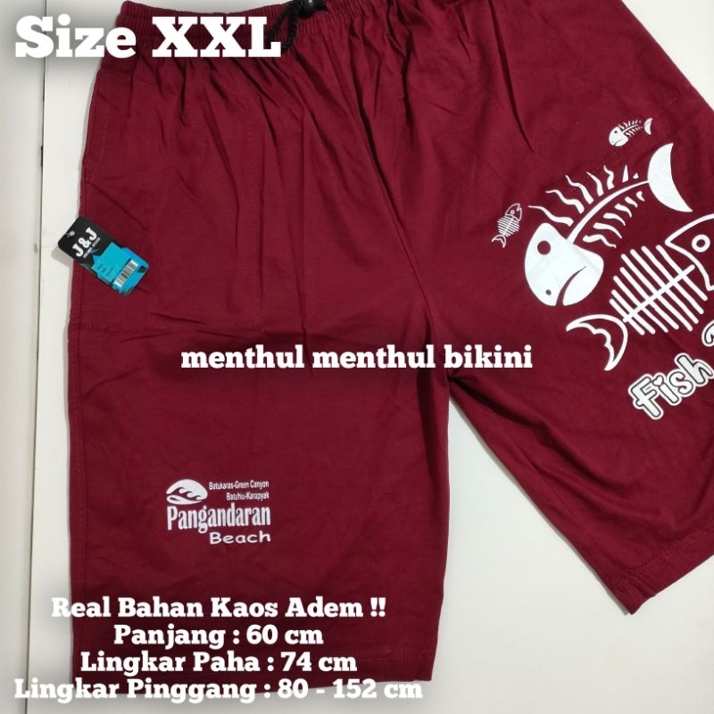 Jual big size XXL jumbo celana pendek pria kolor santai hawai katok ...