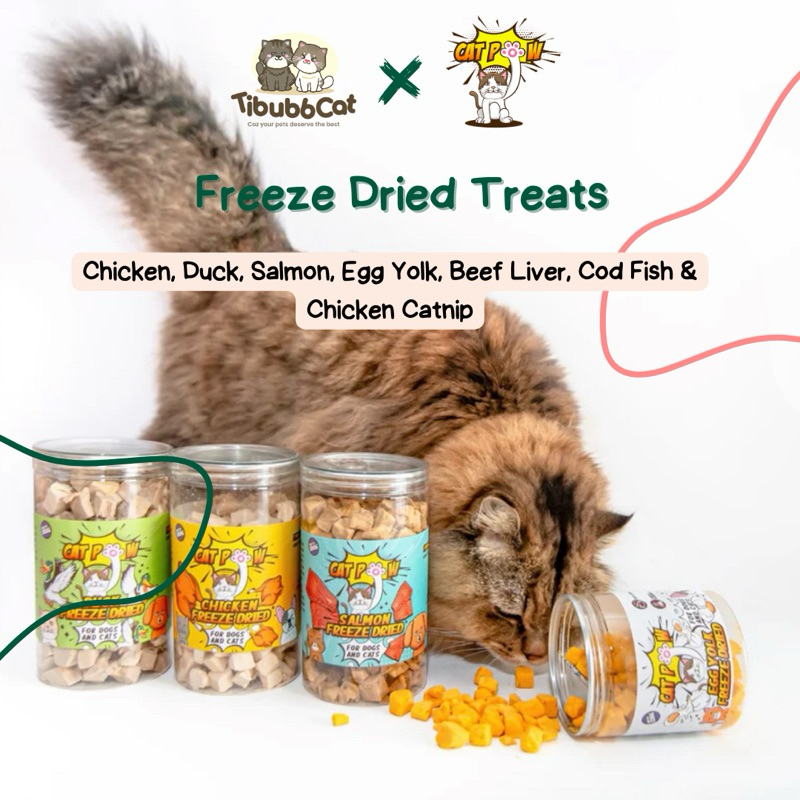 Jual CATPOW Freeze Dried Pet Snack for Dogs & Cats / (Snack Kering ...