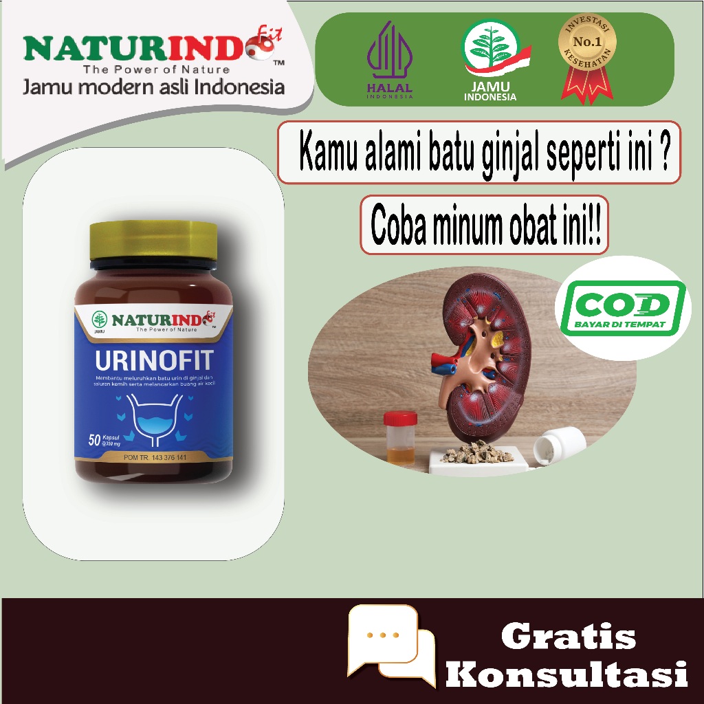 Jual Obat herbal prostat URINOFIT Naturindo batu ginjal infeksi saluran kemih obat kemih kencing ...