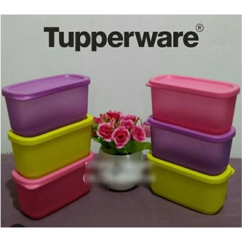 Jual petite fiesta tupperware (6) | Shopee Indonesia