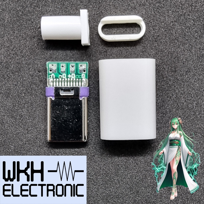 Jual MALE type C PIN DIY socket typeC With Case USB connector terminal ...