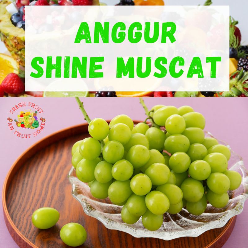 Jual Anggur Shine Muscat Pack 500g | Shopee Indonesia