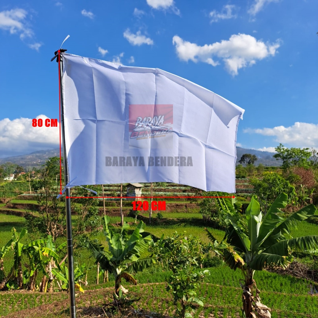 Jual BENDERA PUTIH POLOS 120 CM x 80 CM | Shopee Indonesia