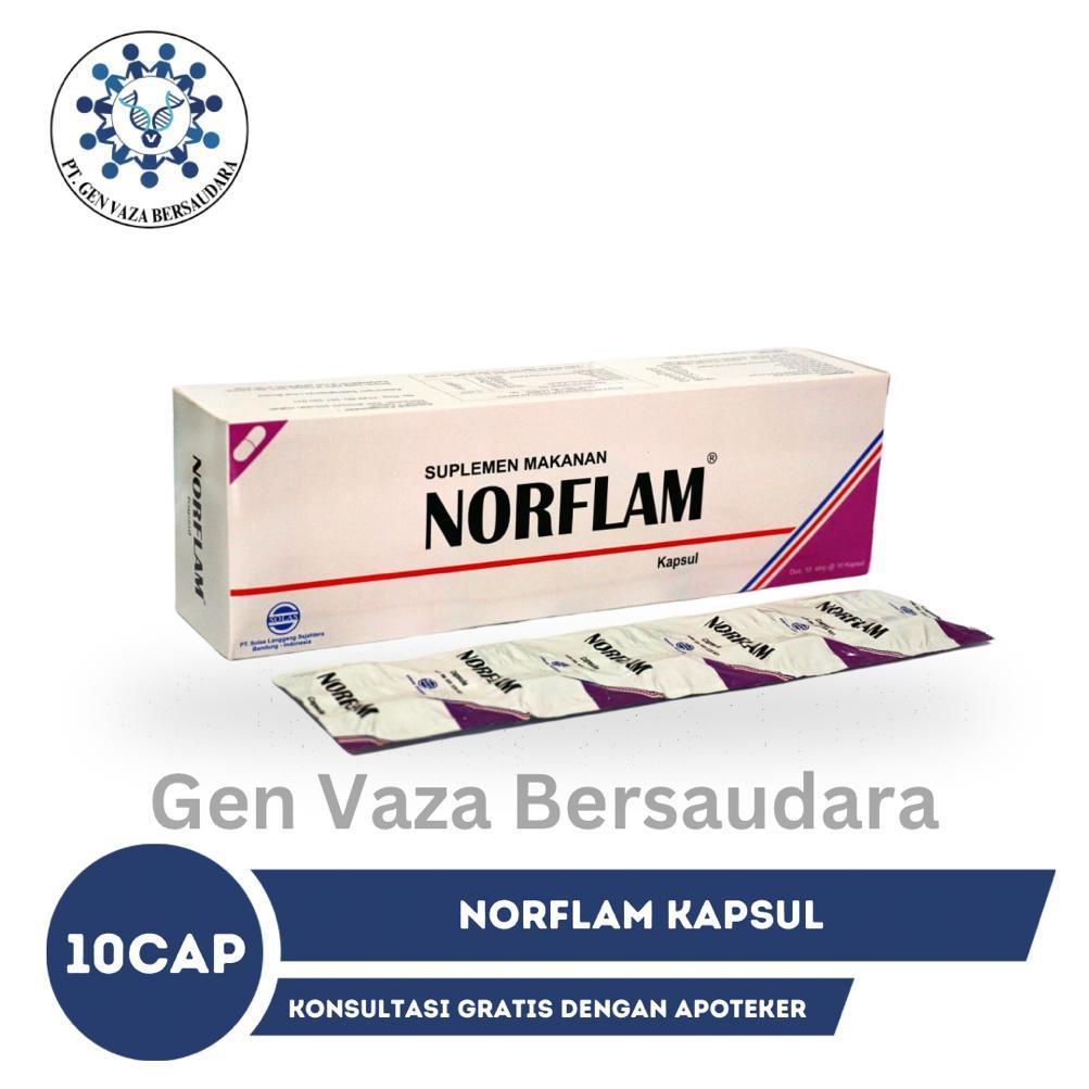 Jual NORFLAM KAPSUL ISI 10 KAPSUL | Shopee Indonesia
