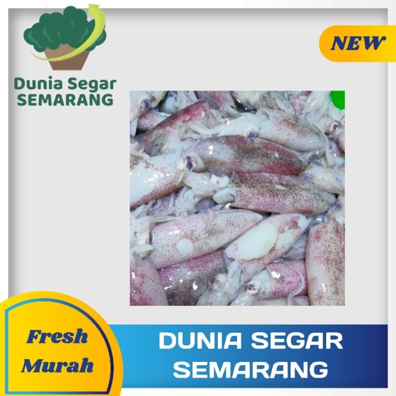 Jual Cumi Sedang Segar | Shopee Indonesia