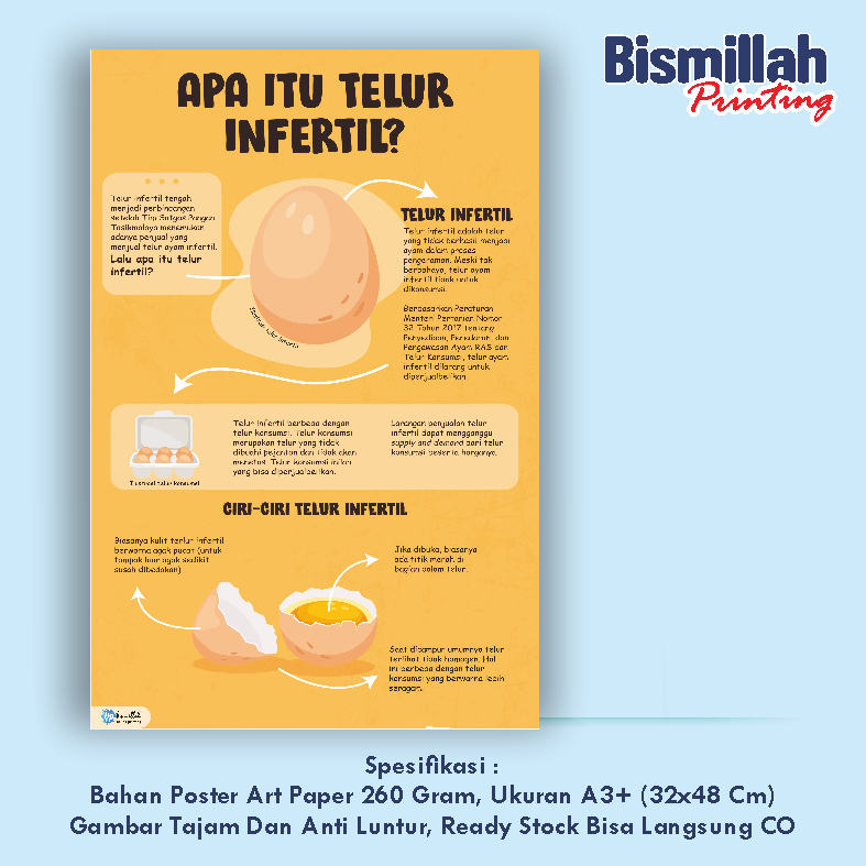 Jual Poster Kesehatan Apa Itu Telur Infertil | Shopee Indonesia
