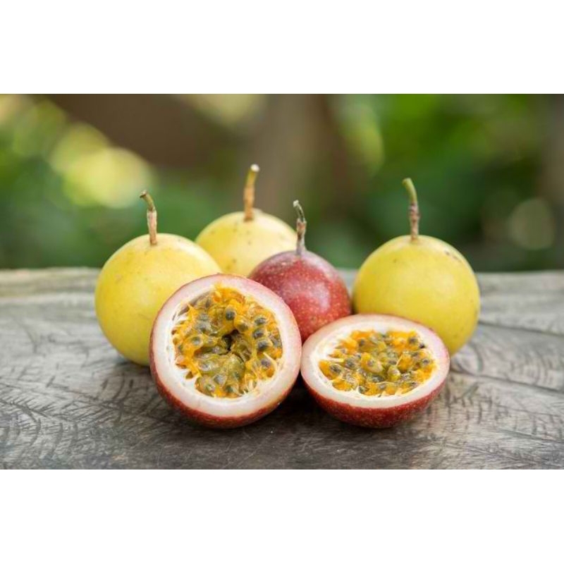 Jual buah markisa kuning segar | Shopee Indonesia