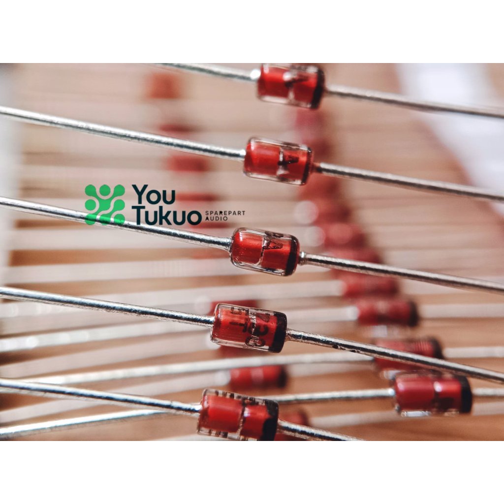 Jual Dioda Zener 1 Watt 1W 10 biji | Shopee Indonesia