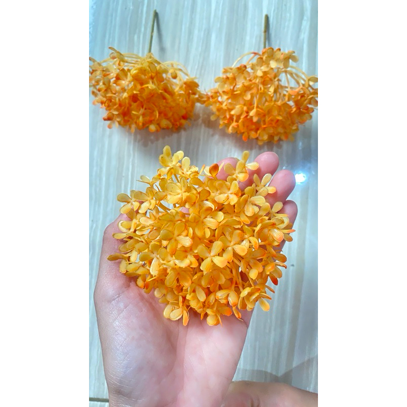 Jual Bunga Asoka Hairdo | Bunga Kekinian | Bunga Bali | Bunga POMPOM ...