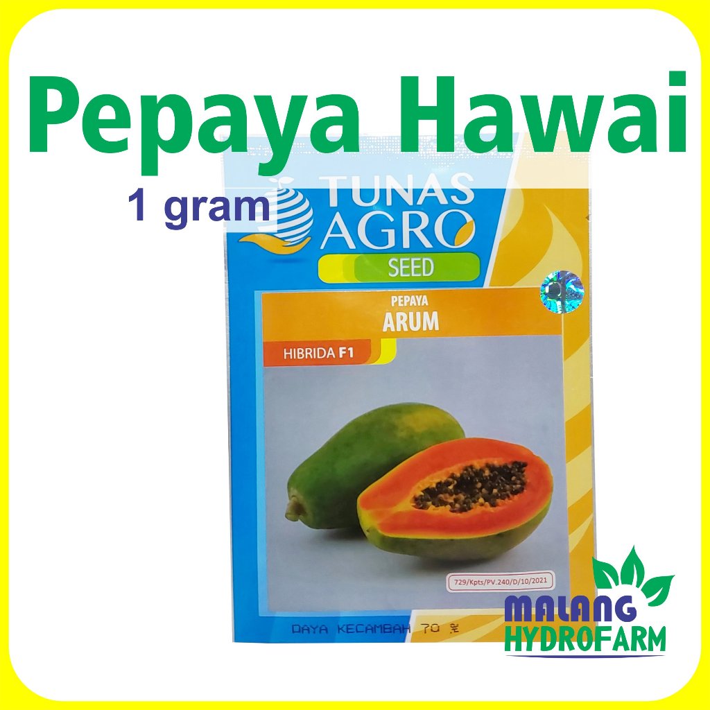 Jual Benih Pepaya Hawai Arum 1 gram Tunas Agro bibit biji buah buahan ...