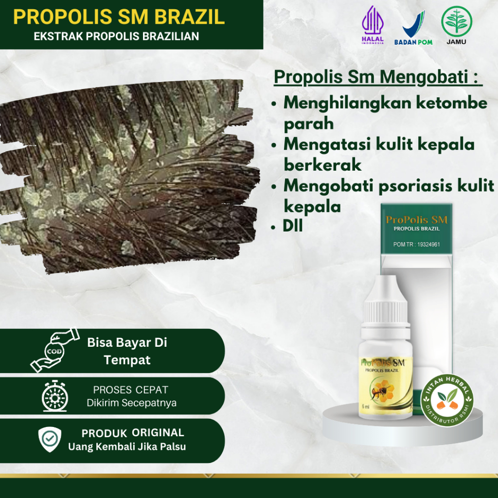 Jual Propolis SM 6ml - Obat Tetes Ketombe, Ketombe Basah / Kering ...
