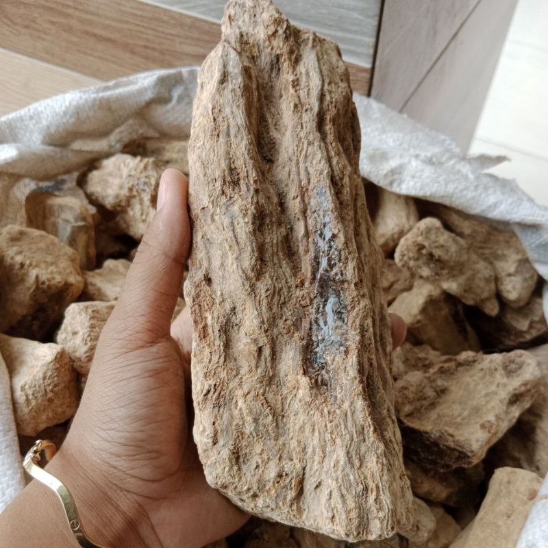 Jual buhur Getah damar garahu kalimantan 500gram | Shopee Indonesia