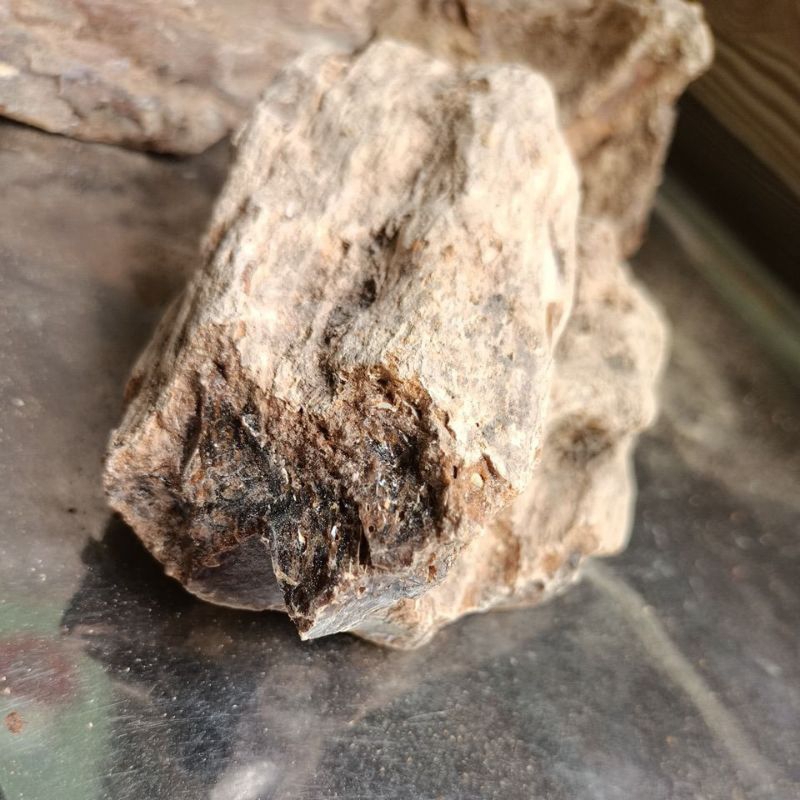 Jual buhur Getah damar gaharu Kalimantan kemasan 500gram wangi | Shopee ...