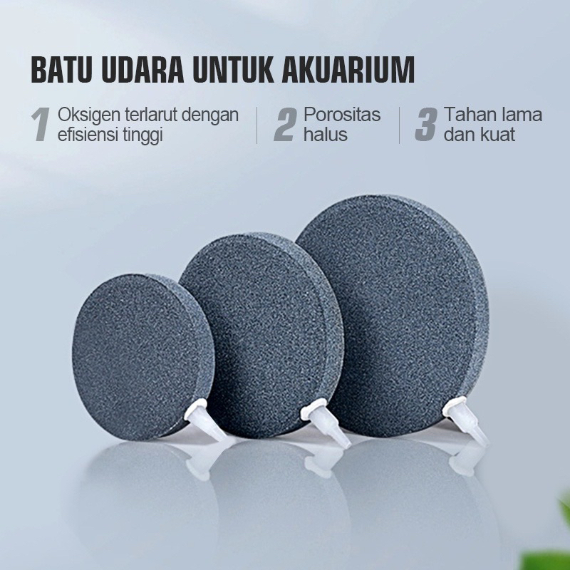 Jual BATU AERATOR AQUARIUM BULAT PIPIH BATU GELEMBUNG UDARA GEPENG ...