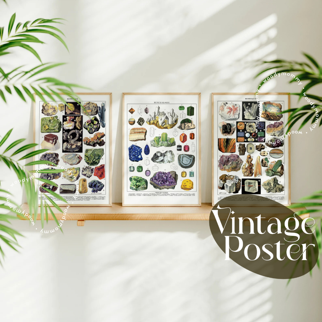 Jual Vintage Poster Mineral dan Kristal - Minerals and Crystals ...