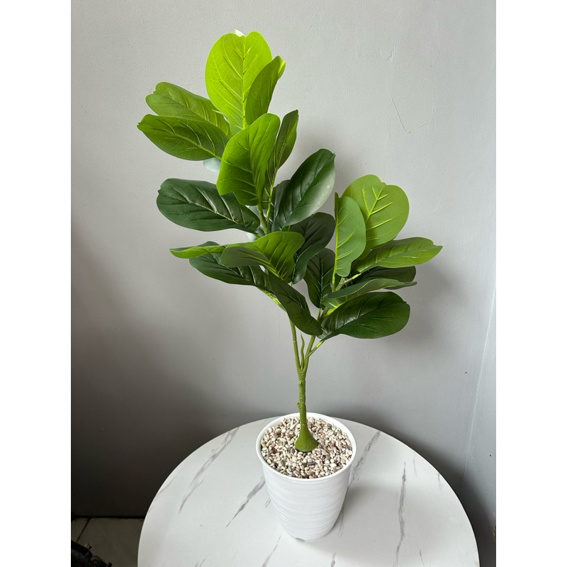 Jual TANAMAN ARTIFICIAL KETAPANG 2CABANG 24DAUN(sudah+pot) | Shopee ...