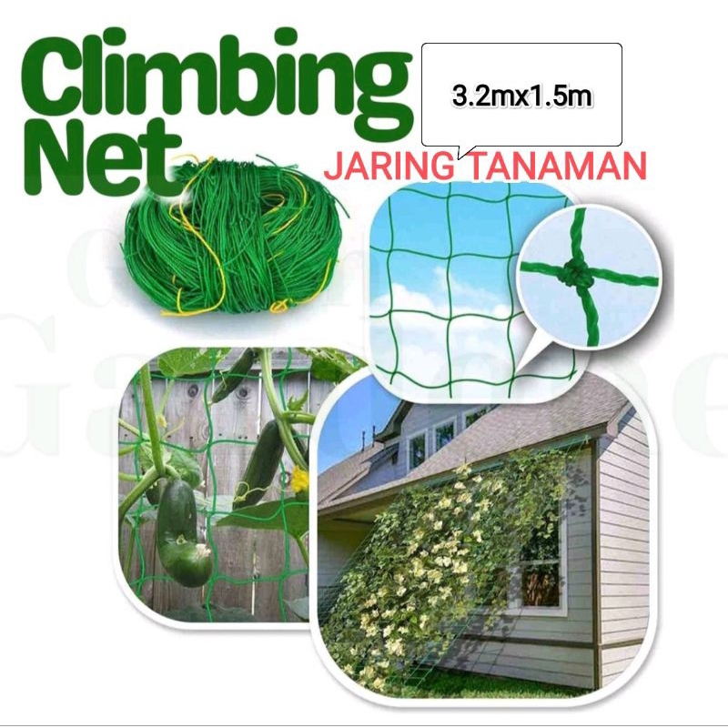 Jual 3.2mx160cm Jaring rambatan tanaman buah anggur jaring pertanian ...