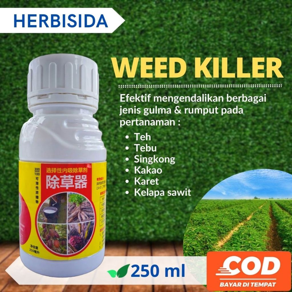 Jual HERBISIDA SISTEMIK SELEKTIF WEED KILLER PEMBASMI GULMA DAUN LEBAR, SEMPIT DAN RUMPUT TEKI ...