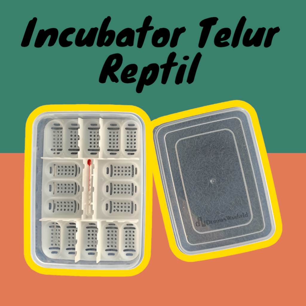 Jual incubator Reptile Egg | Inkubator Telur Reptil Kapasitas 16 Butir ...