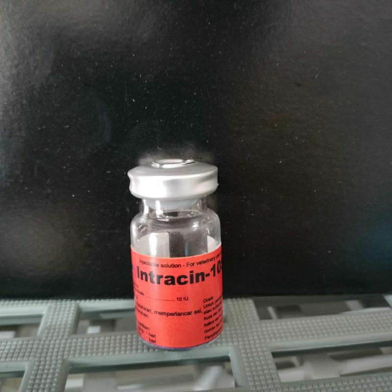 Jual Intracin/oxytocin 5ml Hormon pacu kelahiran hewan | Shopee Indonesia