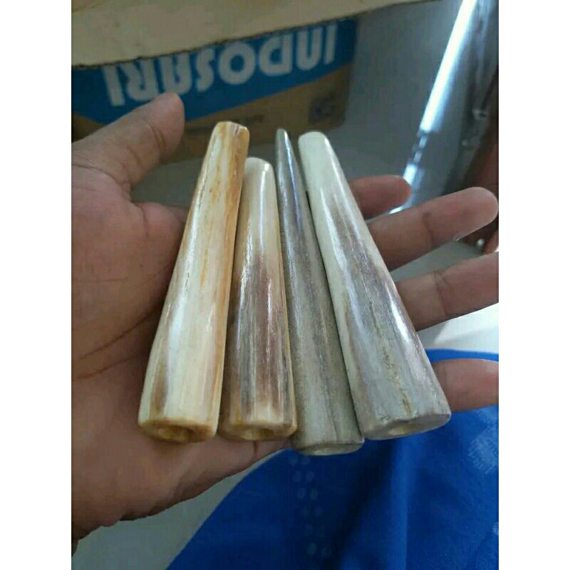 Jual once/piprok tulang marlin | Shopee Indonesia