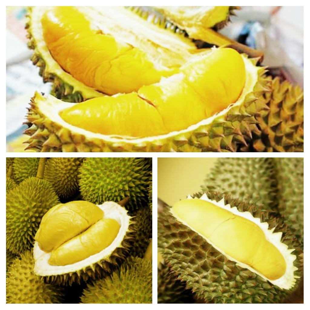 Jual Buah Durian Premium Buah Fresh, Ready Stock Delivery Jogja ...
