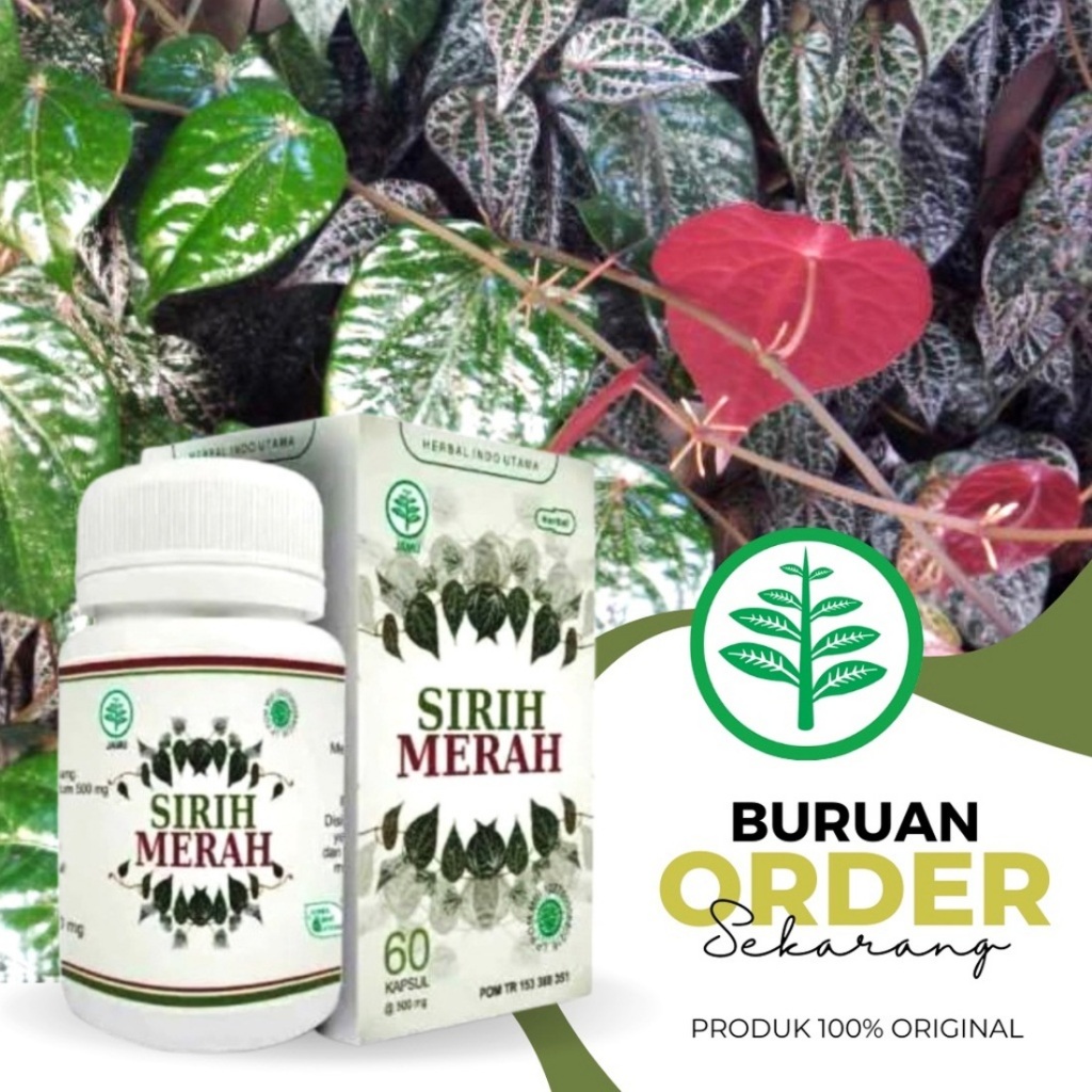 Jual Herbal Indo Utama Kapsul Sirih Merah 60 Kapsul Asli Original / HIU ...