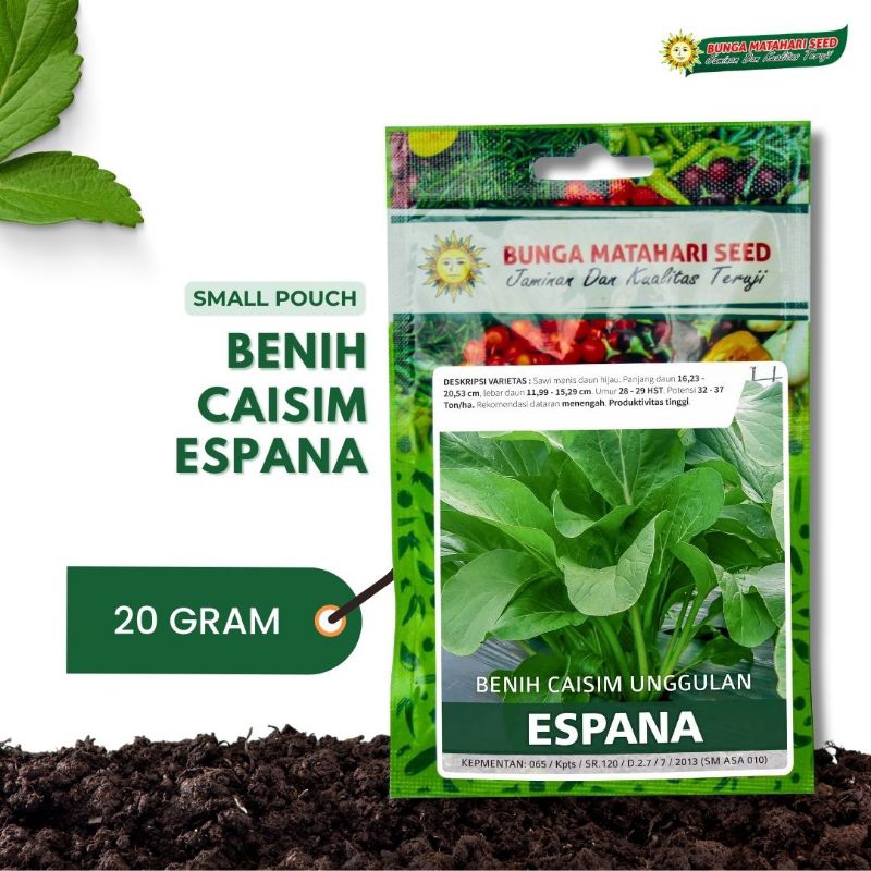 Jual MATAHARI SEED - Benih Caisim Unggulan (Caisim Espana) Bibit ...
