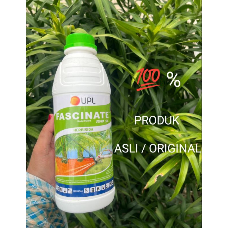 Jual HERBISIDA FASCINATE 150 SL , RACUN RUMPUT LULANGAN | Shopee Indonesia