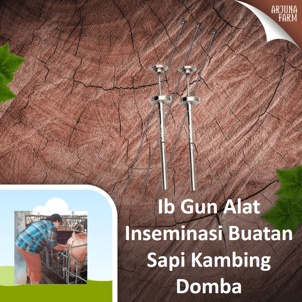 Jual Ib Gun Alat Inseminasi Buatan Sapi Kambing Domba | Shopee Indonesia