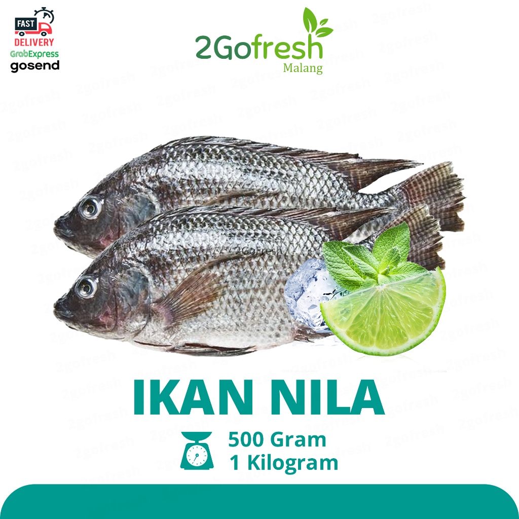 Jual Ikan Nila Segar Fresh - Sayur Sayuran | Shopee Indonesia