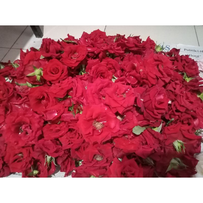 Jual Bunga mawar tabur kelopak segar asli CIMAHI BDG PADALARANG ...