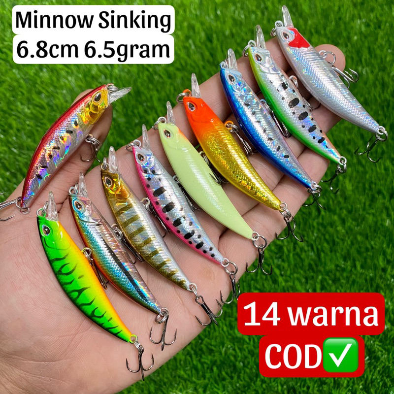 Jual Minnow Sinking 6.8cm 6.5g Duo 60s Fishing Lure Umpan Pancing Casting Ultralight UL | Shopee ...