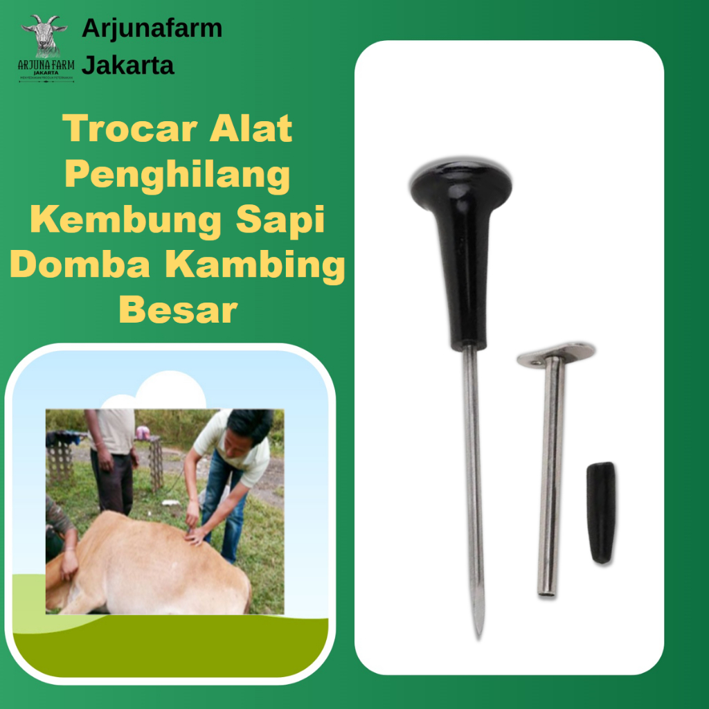 Jual Trocar Alat Penghilang Kembung Sapi Domba Kambing Besar | Shopee ...