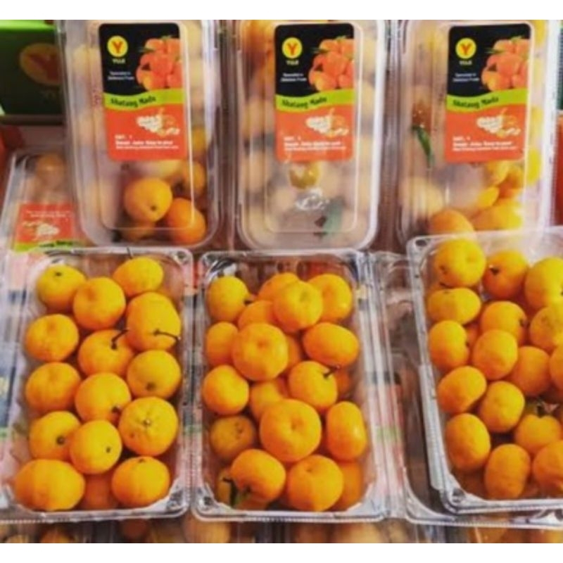 Jual Jeruk Santang 1 Pack | Shopee Indonesia