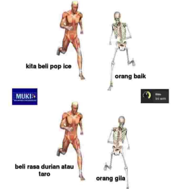 Jual ( MEME ) ORI DARI PANORAMA STUDIO | Shopee Indonesia