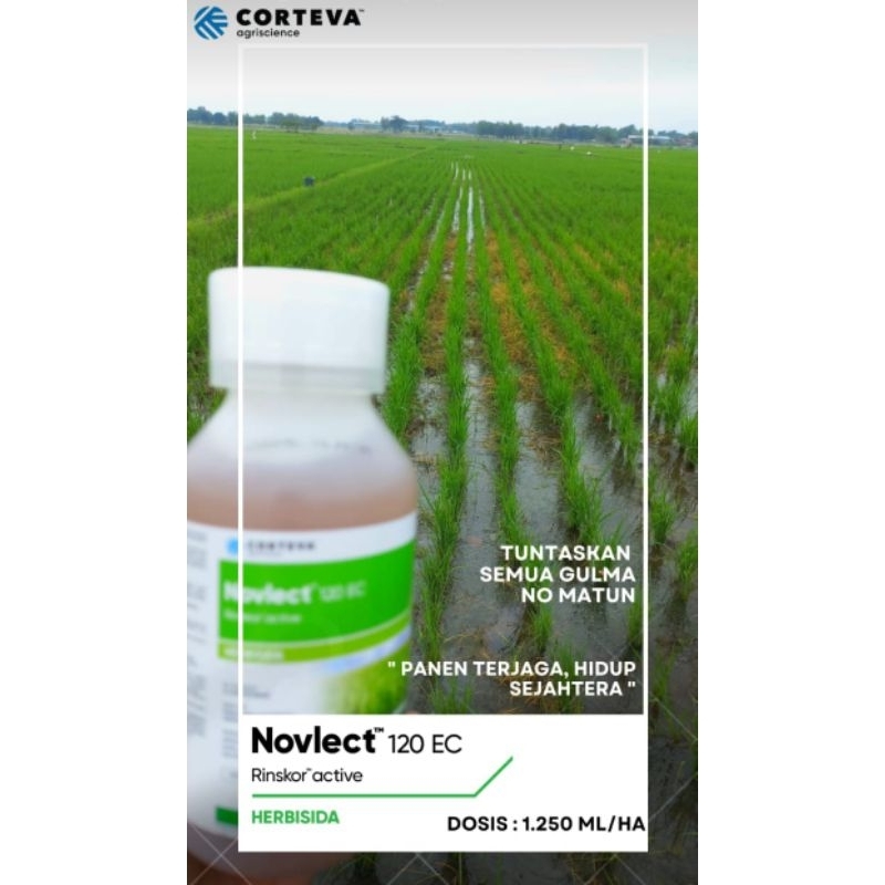 Jual HERBISIDA NOVLECT 125 ML | Shopee Indonesia