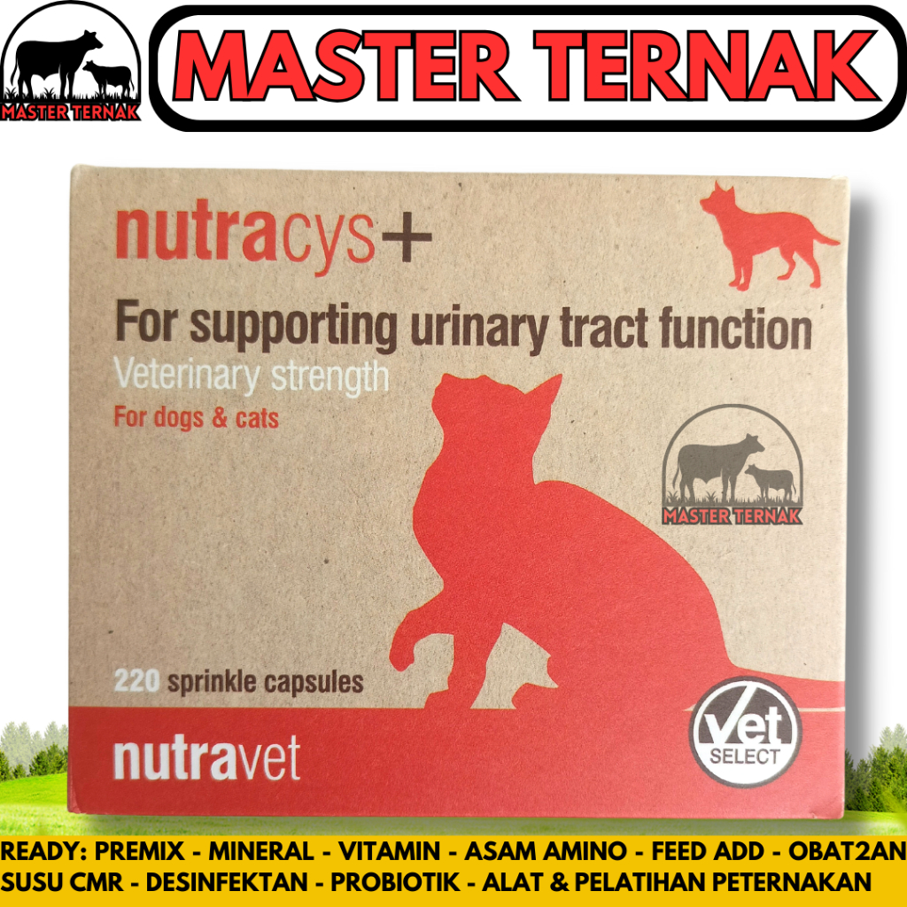Jual NUTRACYS PLUS 20 KAPSUL (1 BLISTER) - Obat Sakit Pipis Berdarah ...
