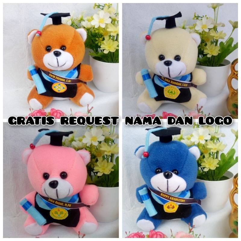 Jual BONEKA WISUDA TEDDY BEAR uk ±15-16 (Gratis Req Nama dan Gambar ...