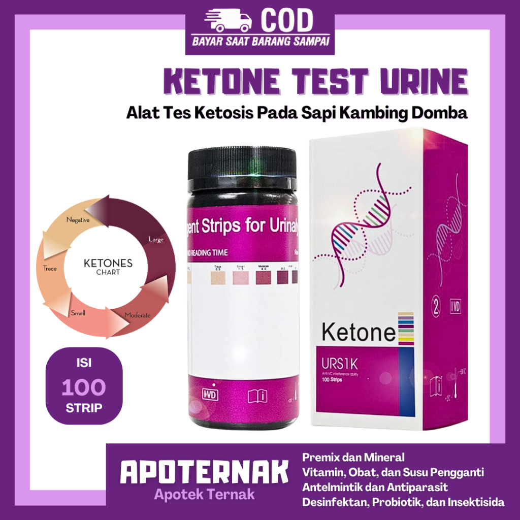 Jual KETONE TEST URINE ISI 100 STRIP - Alat Tes Keton Urin Keto Manusia ...