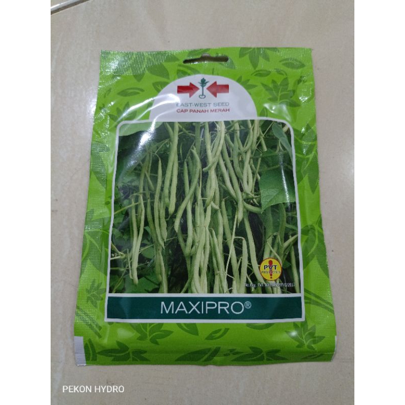 Jual Benih BUNCIS MAXIPRO 225 BUTIR CAP PANAH MERAH KEMASAN PABRIK ...