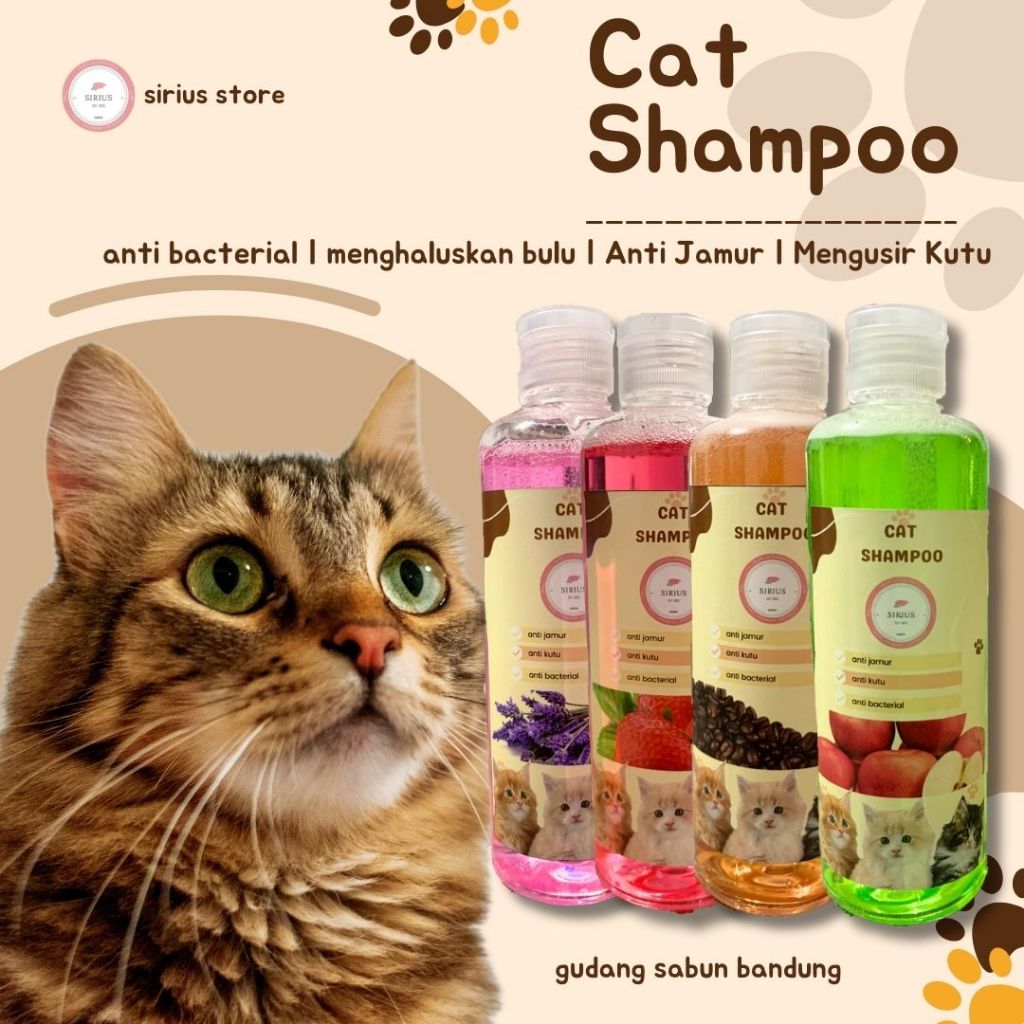 Jual SHAMPOO KUCING SHAMPOO ANTI KUTU DAN JAMUR netto: 250ml | Shopee ...