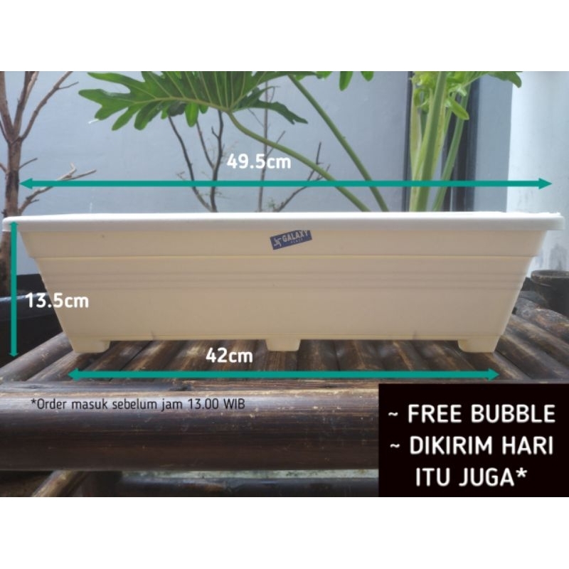 Jual Pot Persegi Panjang Putih | Shopee Indonesia