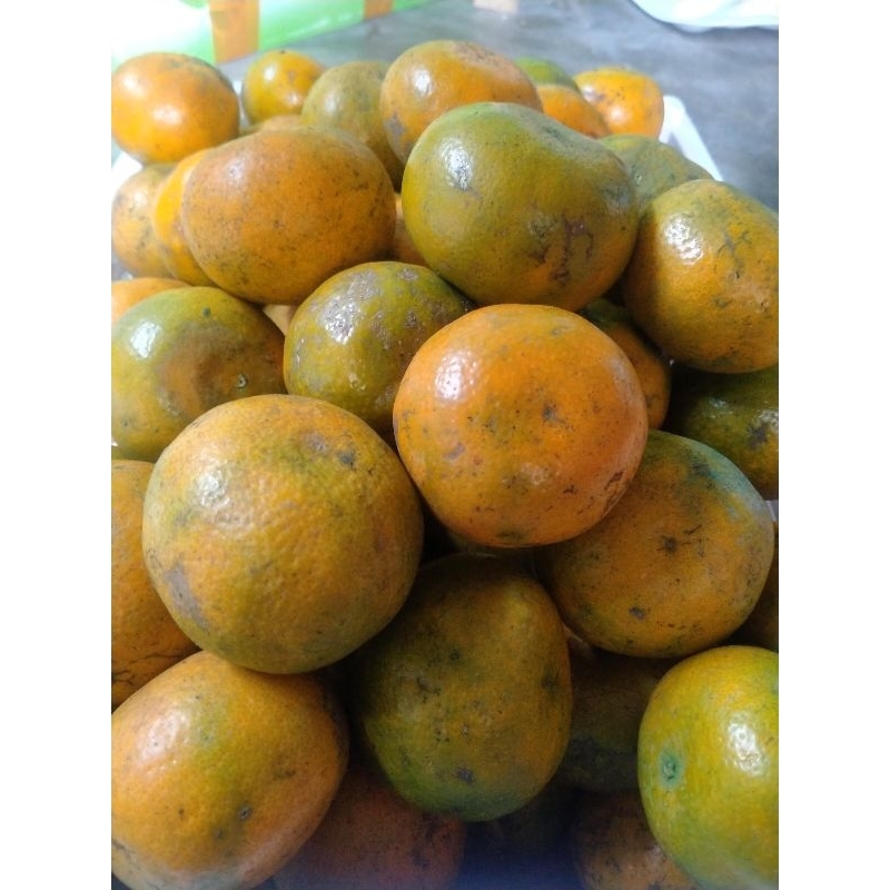 Jual jeruk manis asli berastagi kemasan 1 kg | Shopee Indonesia